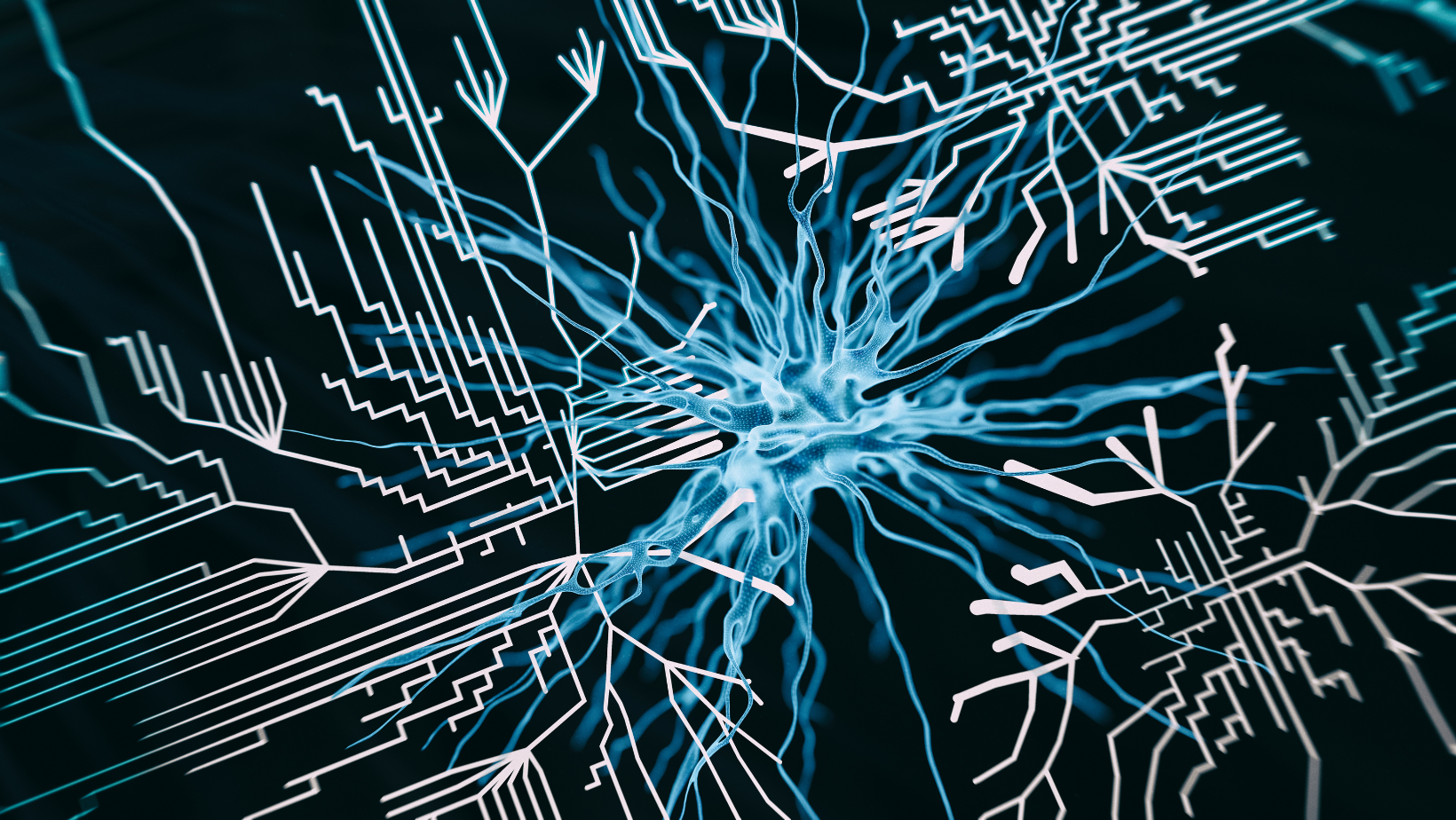 Mastering GUI Embedded Systems: Balancing Efficiency and Visual Appeal ...